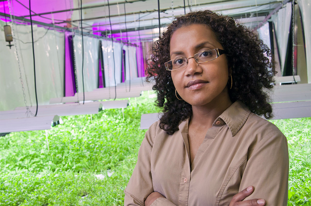 Research Connects the Dots Between Food Choices, Income, and the ...