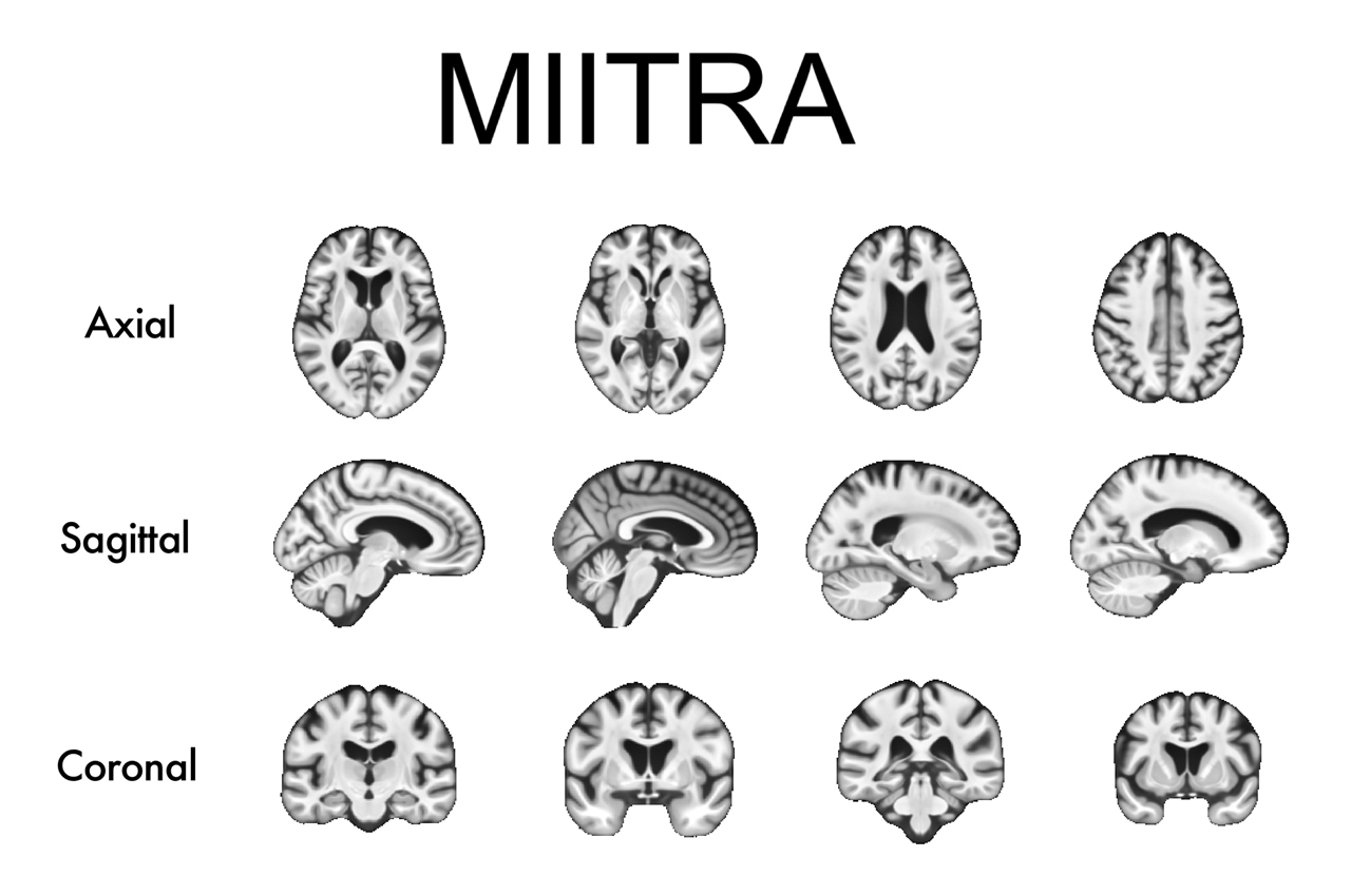 Google Maps for the Older Adult Brain | Illinois Institute of Technology