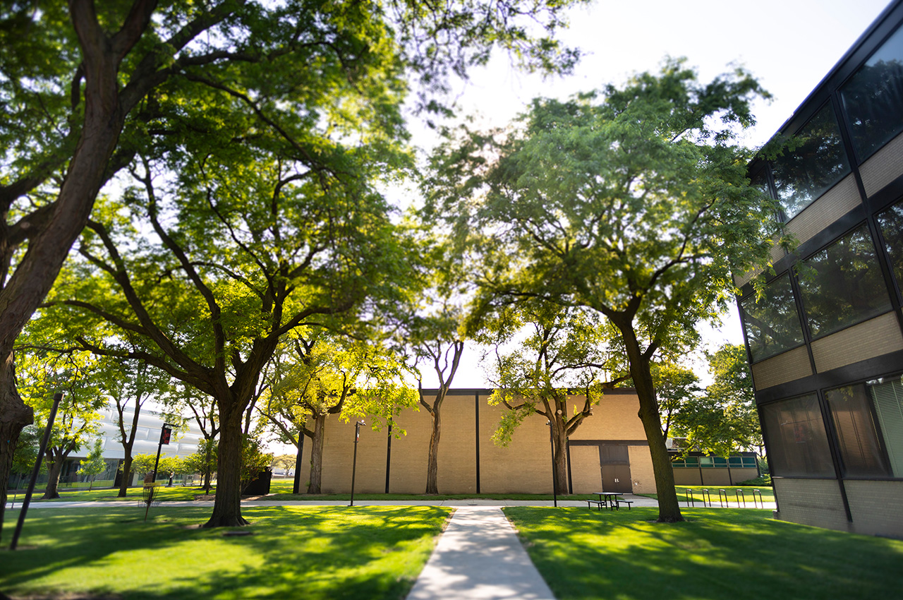 A $2 Million Step Toward a Tree-Tastic Mies Campus | Illinois Institute ...