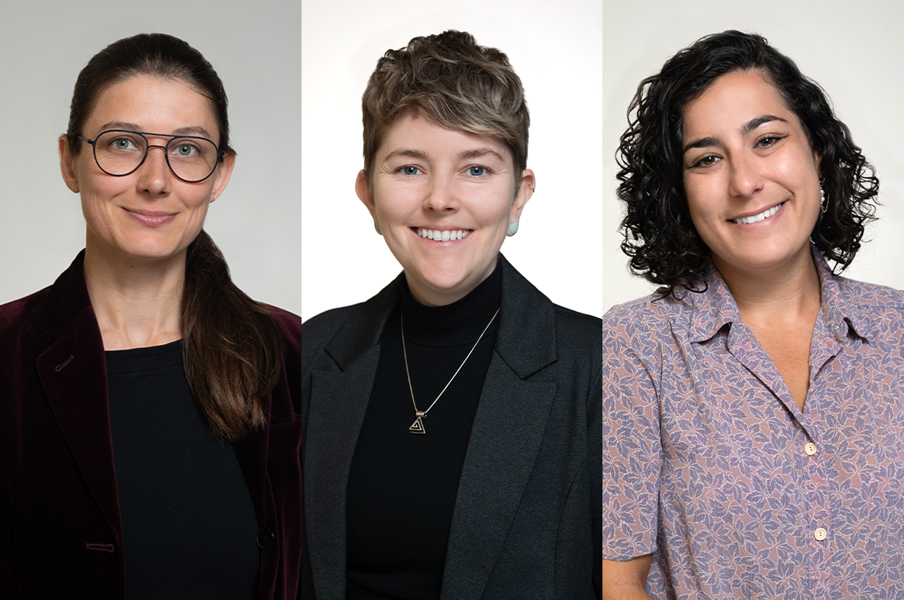 Lewis College Welcomes Four New Faculty Members | Illinois Institute of ...