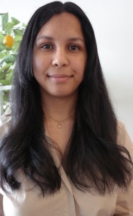 Partnership Program Offers Path From France to America | Illinois ...