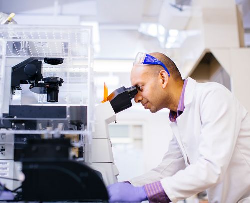 Graduate Programs | Illinois Institute of Technology