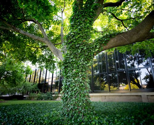 Educational Opportunities | Illinois Institute of Technology