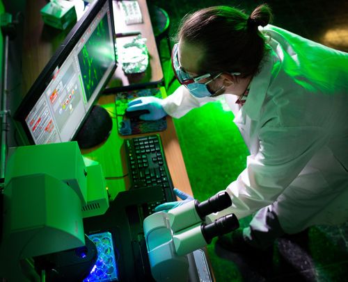 International Center for Sensor Science and Engineering | Illinois ...