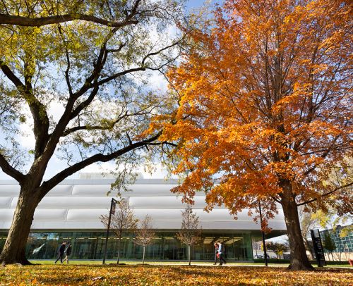 Illinois Tech | Illinois Institute of Technology