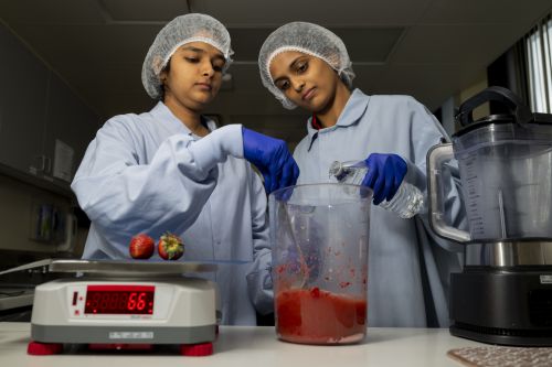 Research | Illinois Institute of Technology