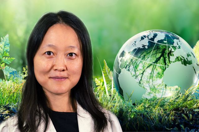 Stuart School of Business | Illinois Institute of Technology